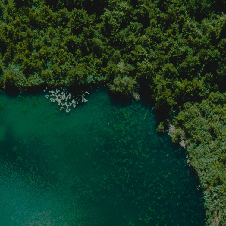 Sodashi Skincare | Natural, Vegan & Cruelty Free Skincare – sodashi-europe